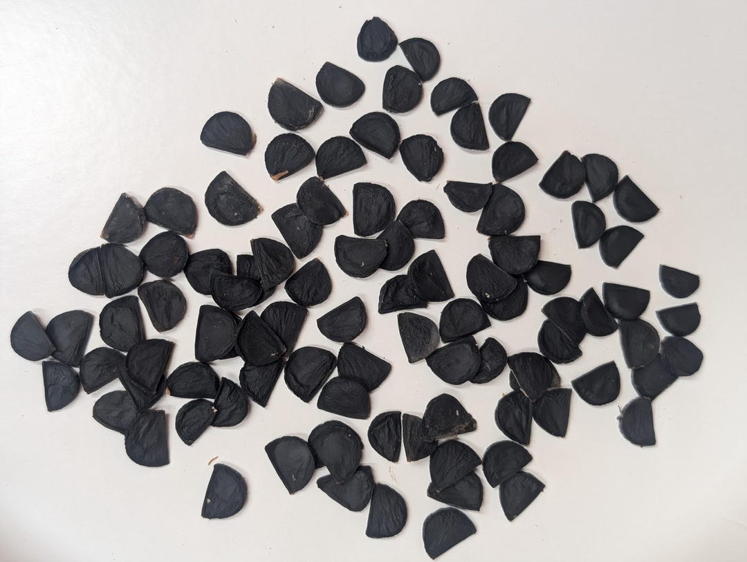 Seeds - Red Yucca. (hesperaloe Parviflora). Free Shipping. Open ...