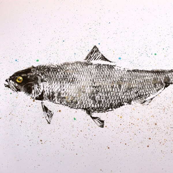 Shad Print - Etsy