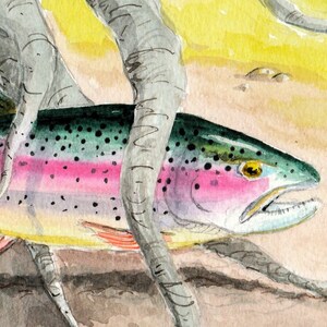ORIGINAL Rainbow Trout Hiding Watercolor Fish Art 8X10 Painting Gift ...