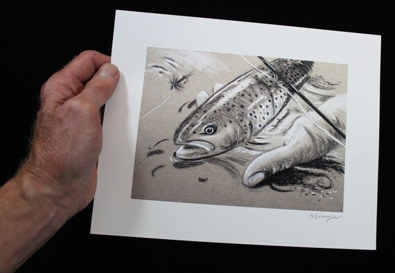 Trout Fish Drawing