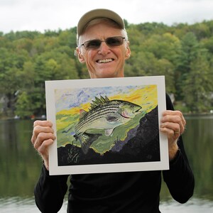 Striped Bass Full Color Illustration Art Print by Barry Singer Fits ...
