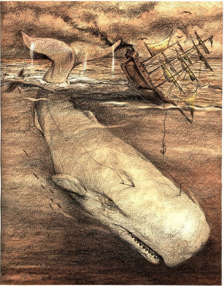 Moby Dick Whale Drawing