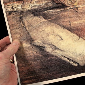 White Whale Herman Melville Moby Dick Rustic Captain Ahab Pencil ...