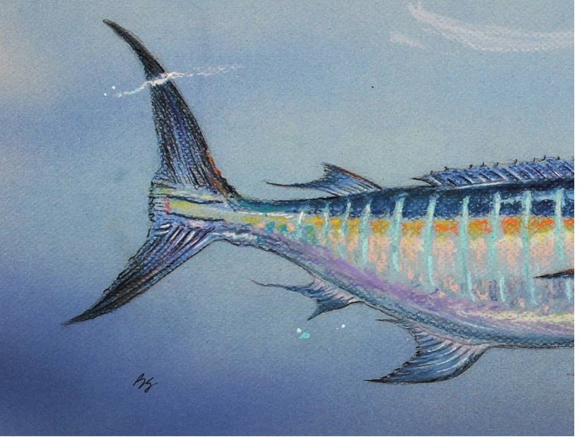 Large Size Blue Marlin Art Prints Head & Tail 11"x14" Fisherman Gift ...