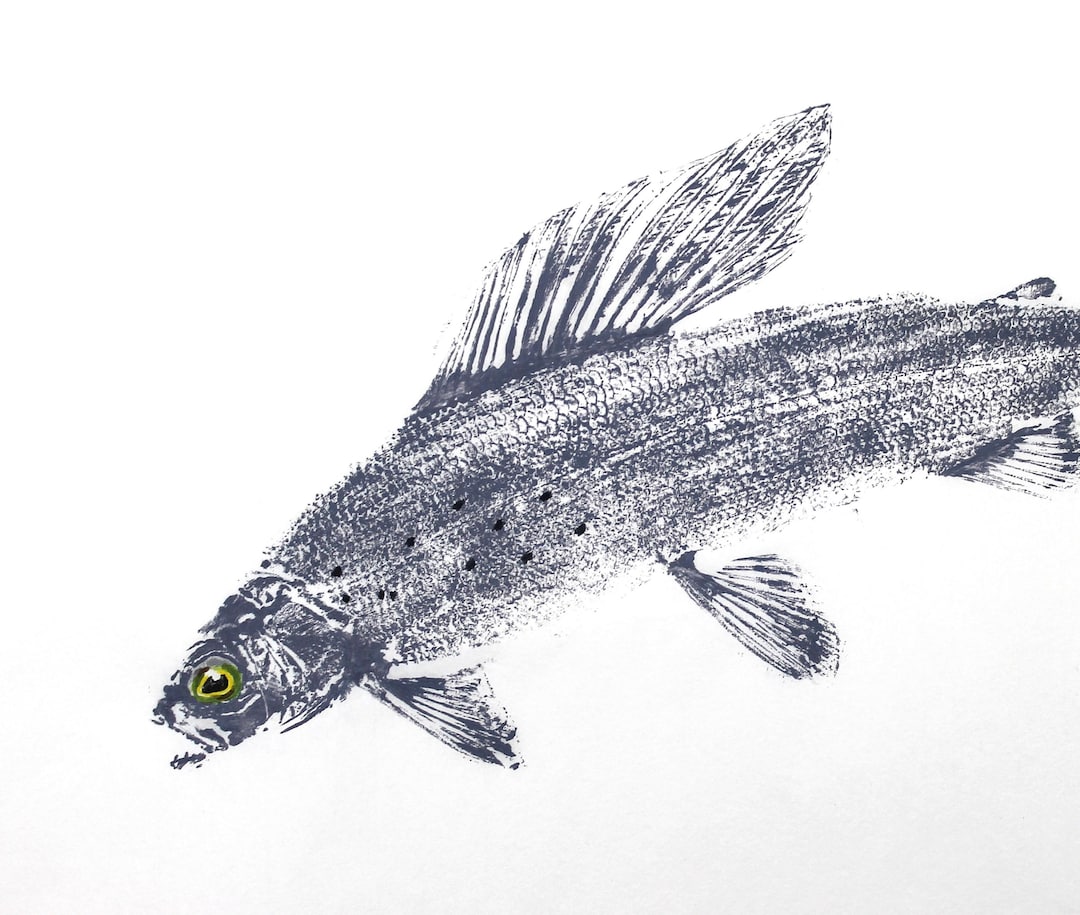 GYOTAKU Fish Rubbing Arctic Grayling 8.5 X 11 Quality Fly Fishing Art ...