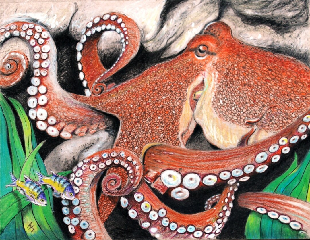 Octopus 8.5 X 11 Art Print Detailed Color Illustration Beach Decor Gift ...