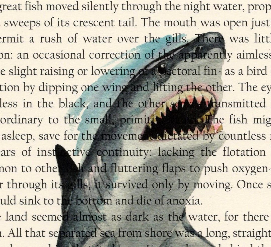 Great White Shark Jaws With Blood 8 X 10 50th Anniversary Watercolor ...