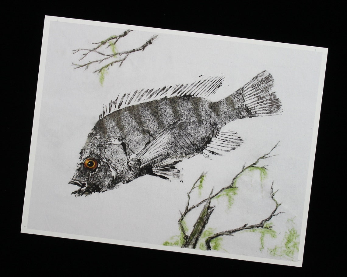 GYOTAKU Fish Rubbing TILAPIA 8.5 X 11 Quality Art Print Cottage Decor ...
