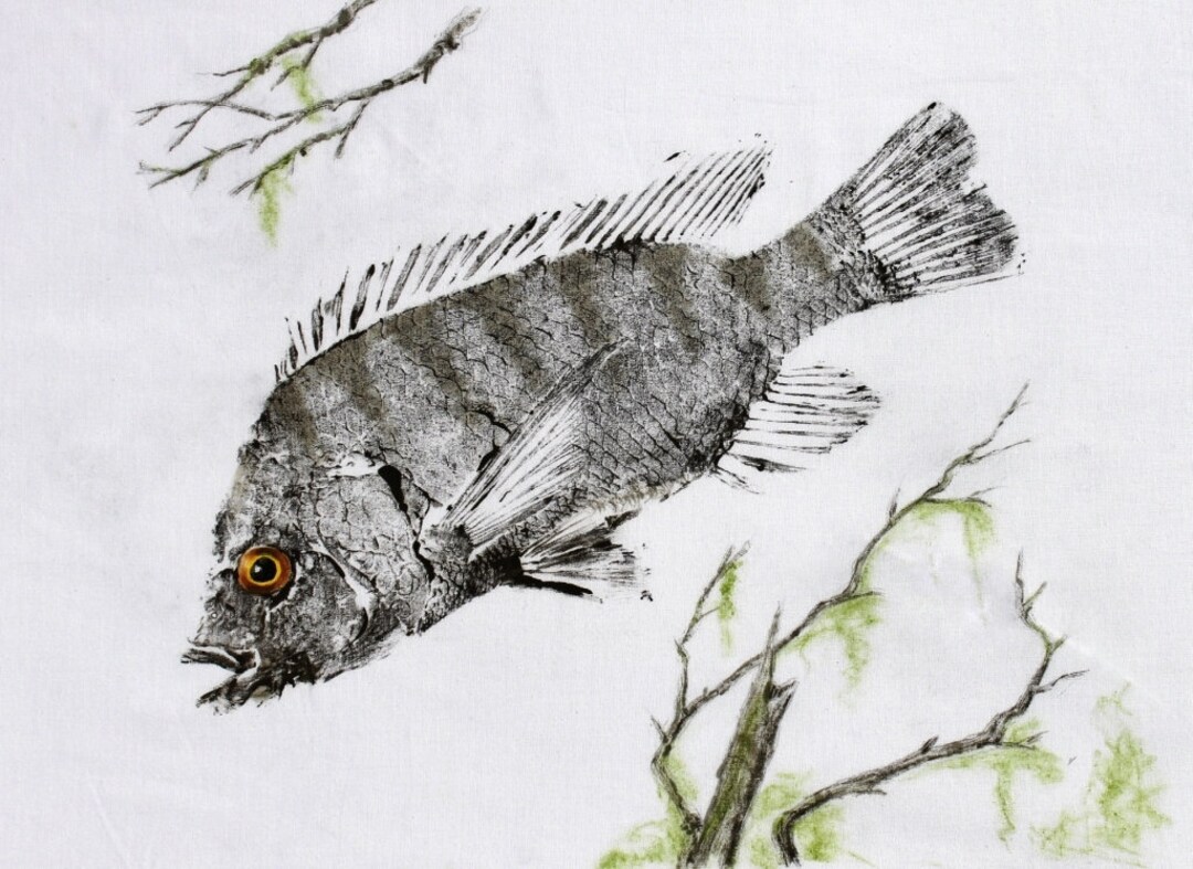 GYOTAKU Fish Rubbing TILAPIA 8.5 X 11 Quality Art Print Cottage Decor ...