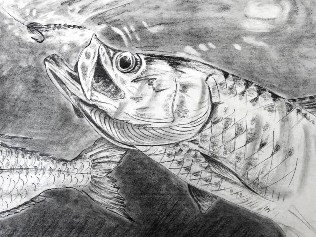 TARPON Pencil Drawing Art Print 8.5 X 11 Great Fly Fisherman Gift by ...