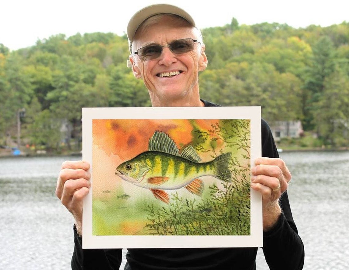Yellow Perch Fish Vegetation Watercolor Painting 11"x14" Art Print ...