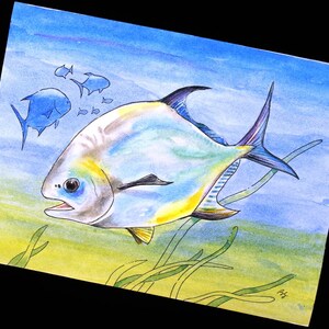 ORIGINAL Permit Fish Watercolor Painting Fisherman Gift Coastal Condo ...