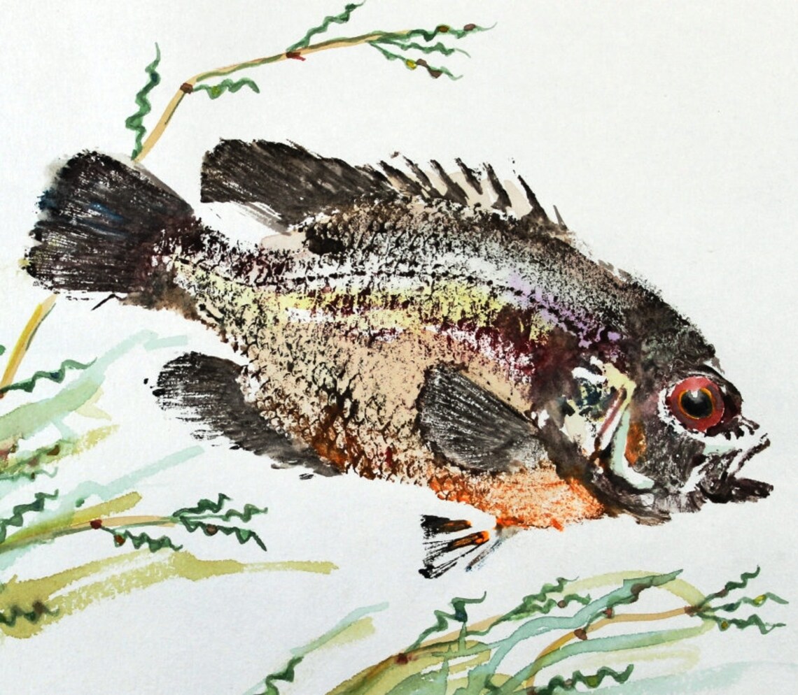 ORIGINAL Red Eye Bass GYOTAKU Fish Rubbing on Johannot - Etsy