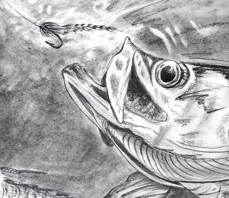 TARPON Pencil Drawing Art Print 8.5 X 11 Great Fly Fisherman | Etsy