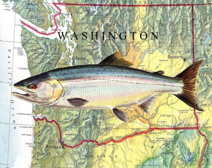 Washington Salmon Fish Art Watercolor Painting on 8X10 Map - Etsy