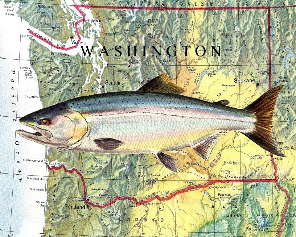 Washington Salmon Fish Art Watercolor Painting on 8X10 Map | Etsy