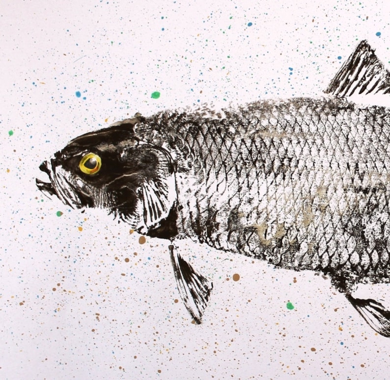 GYOTAKU Fish Rubbing American Shad 8.5 X 11 or 11 X 14 Quality Art ...