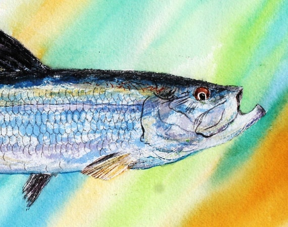 Tarpon Head Art