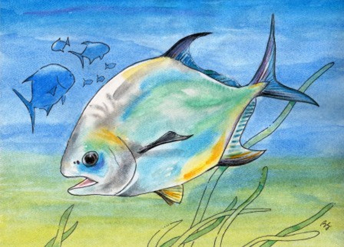 ORIGINAL Permit Fish Watercolor Painting Fisherman Gift - Etsy