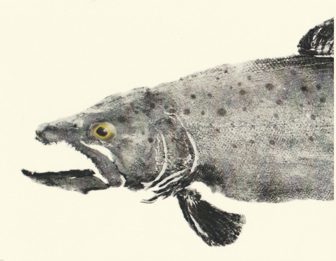 GYOTAKU Fish Rubbing Two Brown Trout Art Prints head & Tail 8.5 X 11 ...