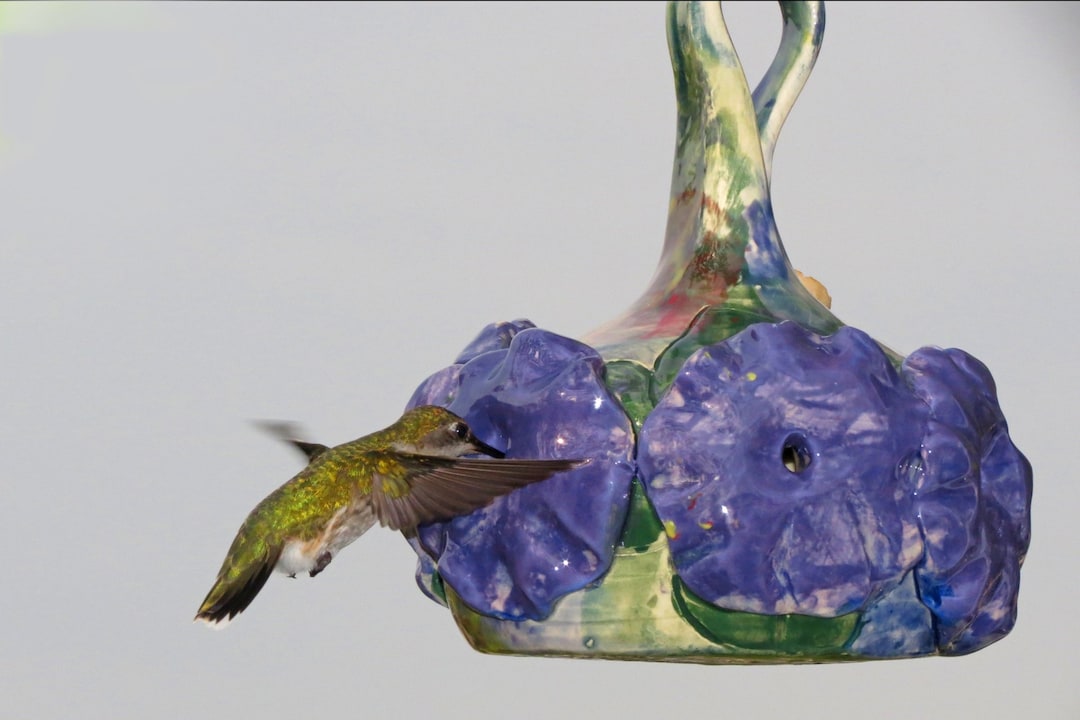 Handmade Pottery Hummingbird Feeder: Sculpted Flower Design - Etsy