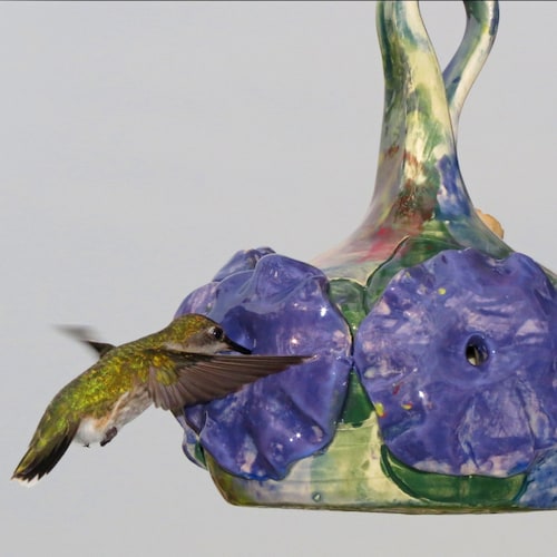 Hummingbird Ring Feeder by ZUMMR - Etsy