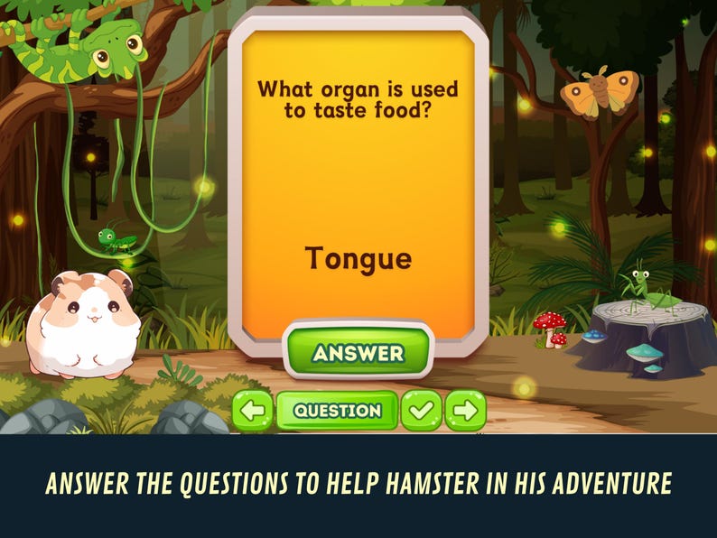 CLASSROOM GAME Powerpoint Game Template Hamster Quest Educational Game ...