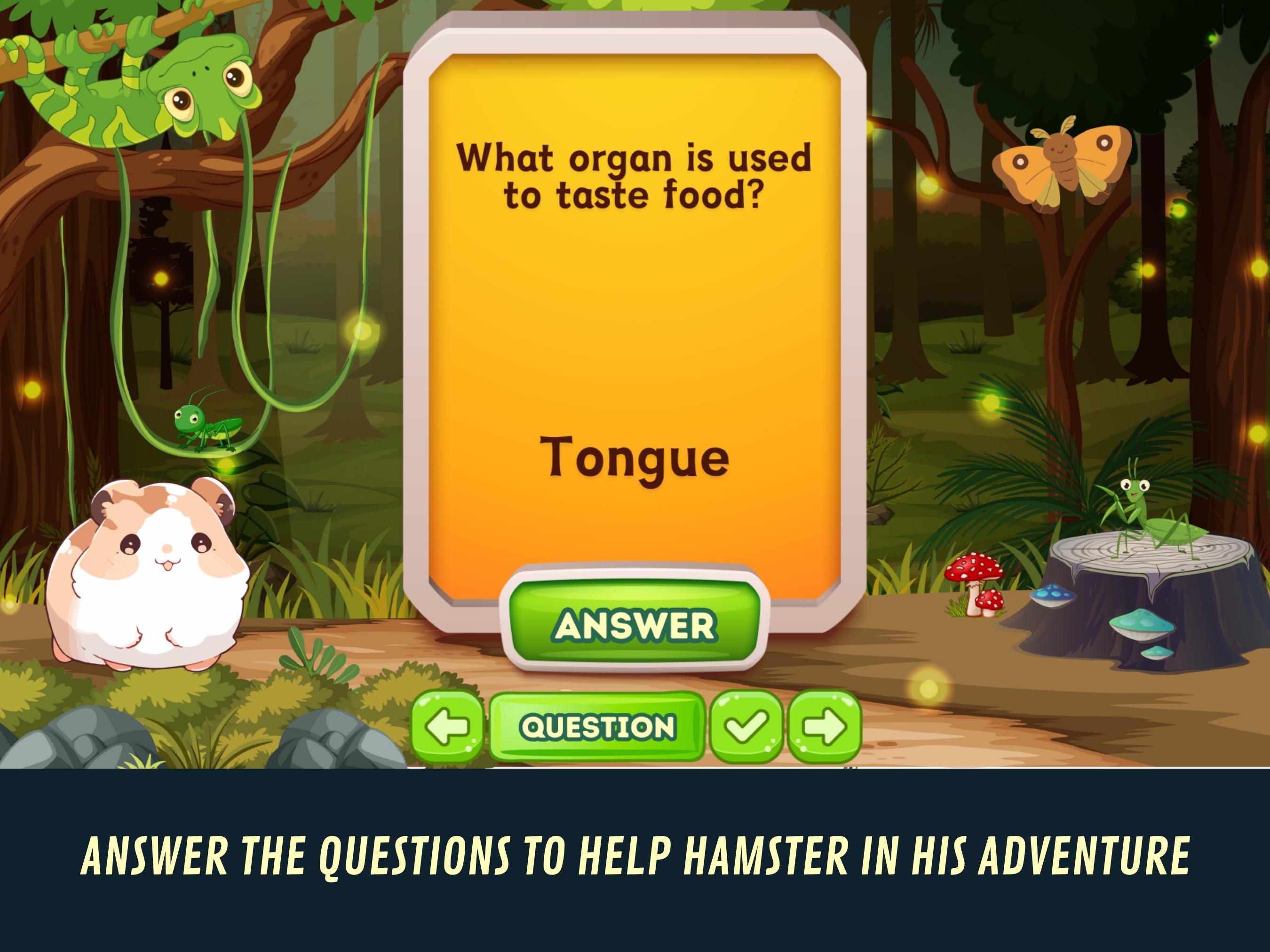 CLASSROOM GAME Powerpoint Game Template Hamster Quest Educational Game ...