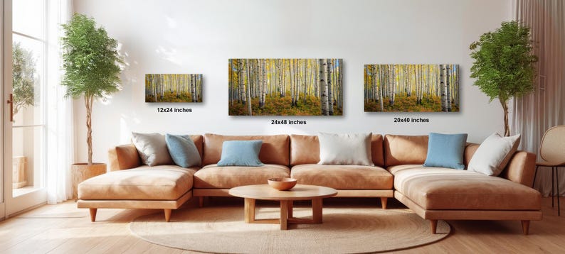 Autumn Aspen Forest, Kebler Pass, Crested Butte, Colorado Photography ...