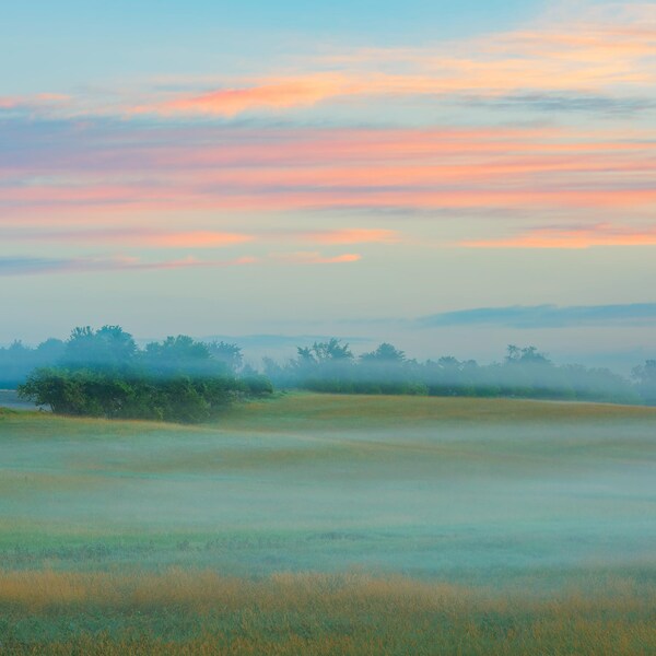 Pasture Scenes - Etsy