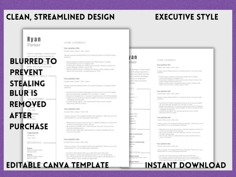 Executive Style Editable Resume Template, Easy Edit Resume Template - Etsy