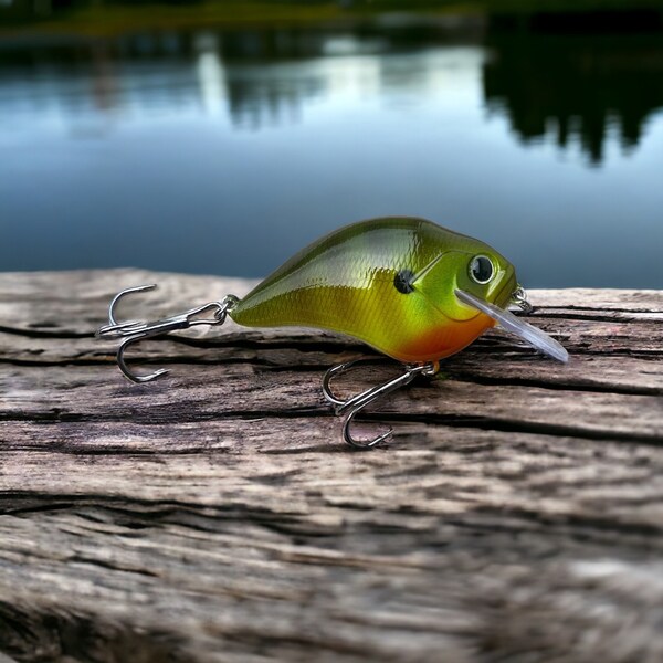 Custom Fishing Lure - Etsy