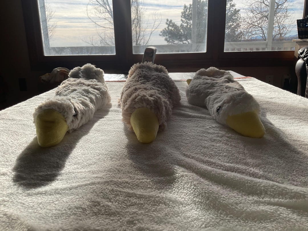 The Weighted Heatable Duck Pack - Etsy