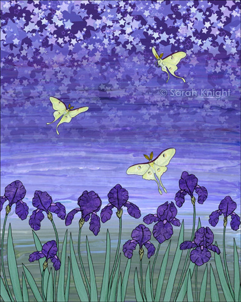 Violet Night Signed Digital Illustration Art Print 8X10 Inch, Luna ...