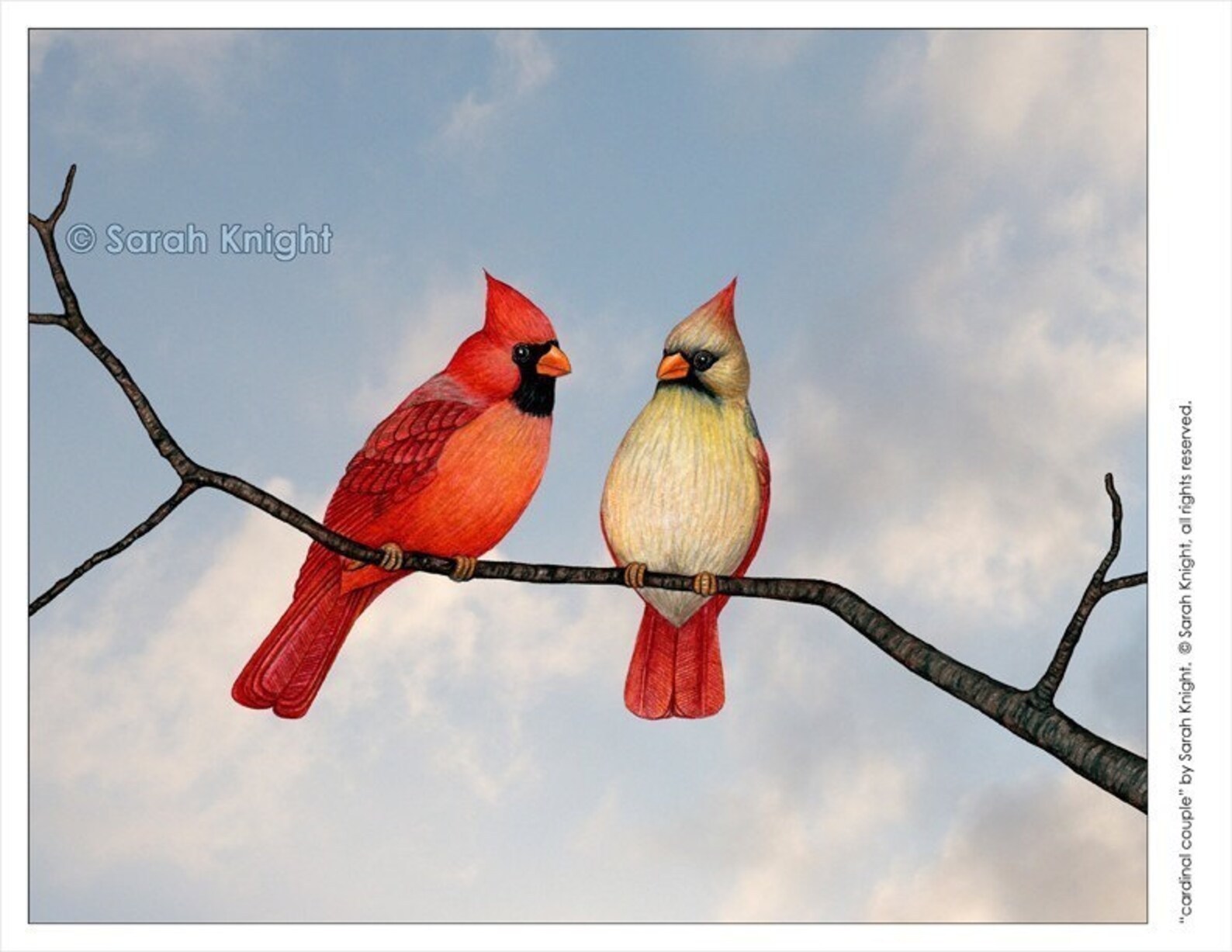 Cardinal Couple Signed Digital Illustration Art Print 8X10 - Etsy