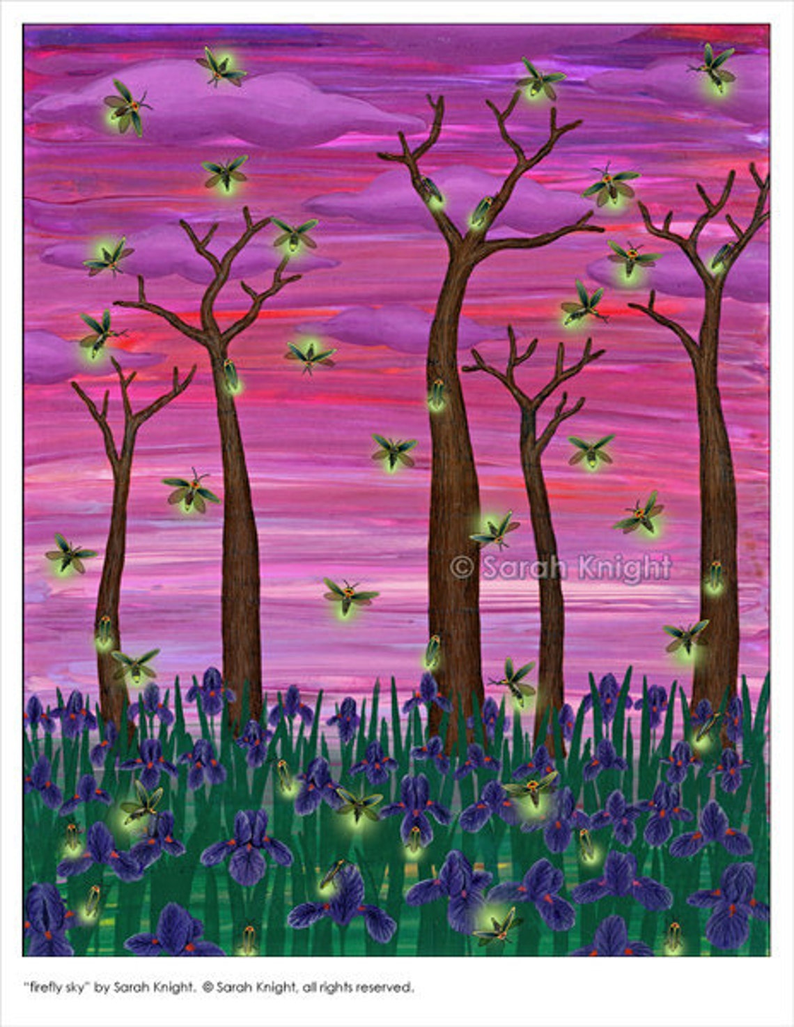 Firefly Sky - Signed Digital Illustration Art Print 8X10 Inch, Purple ...