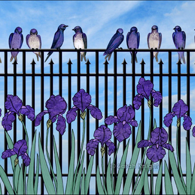 Purple Martin - Etsy