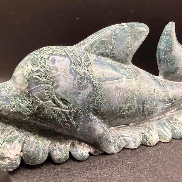 Dolphin Stone - Etsy