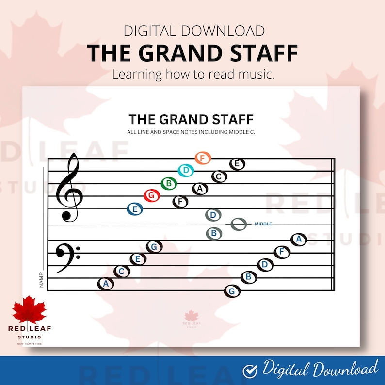 Grand Staff Music Theory Printable Learn How to Read Music PNG PDF ...