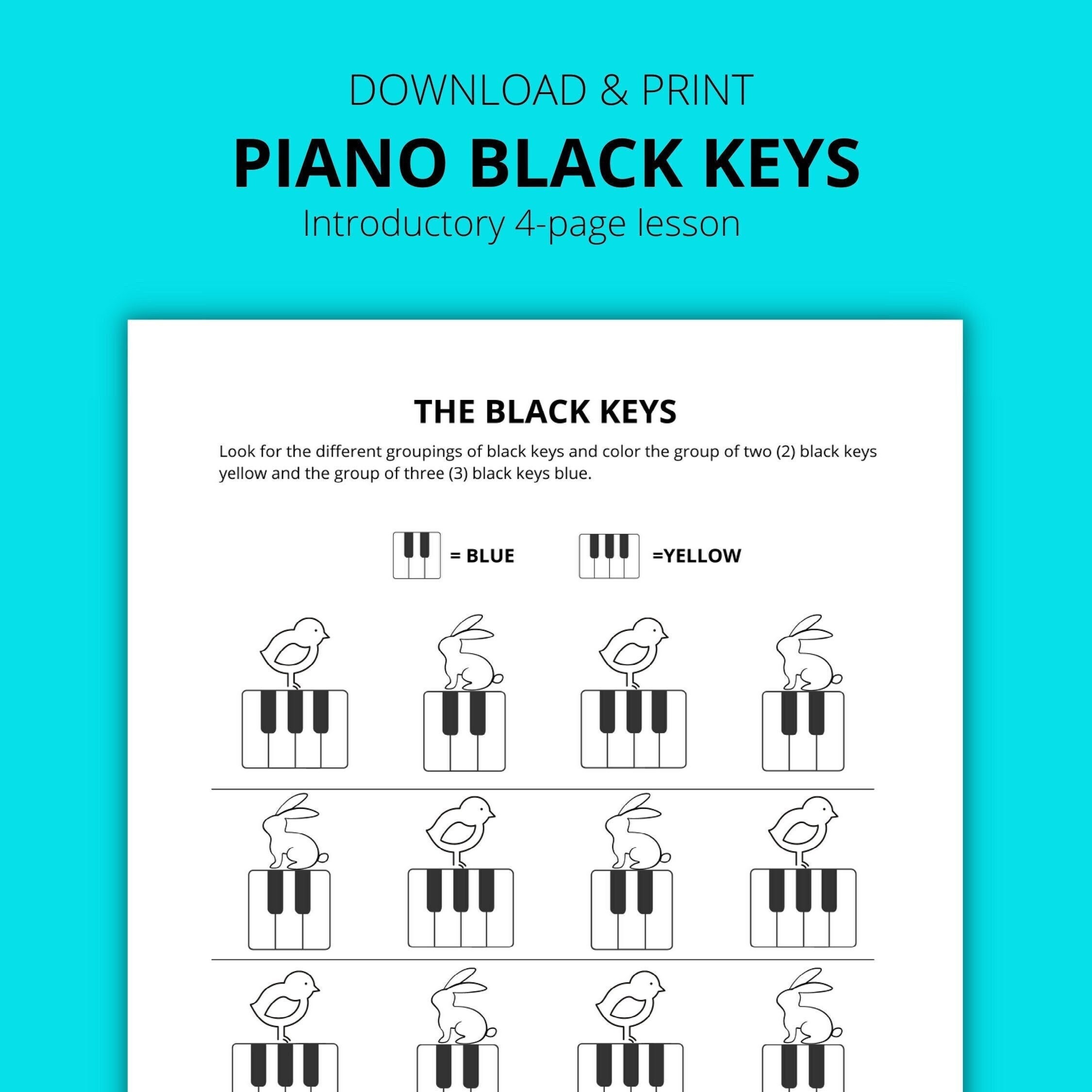 Piano Black Key Beginner Worksheet | Piano Lessons | Usletter | A4 - Etsy