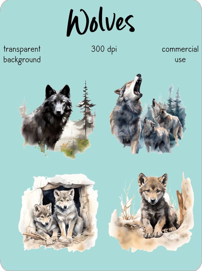 Wolves PNG – Wolf Clipart, Transparent Background, 300 DPI, Commercial ...