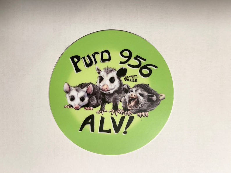 Puro 956 Alv! Sticker - Etsy