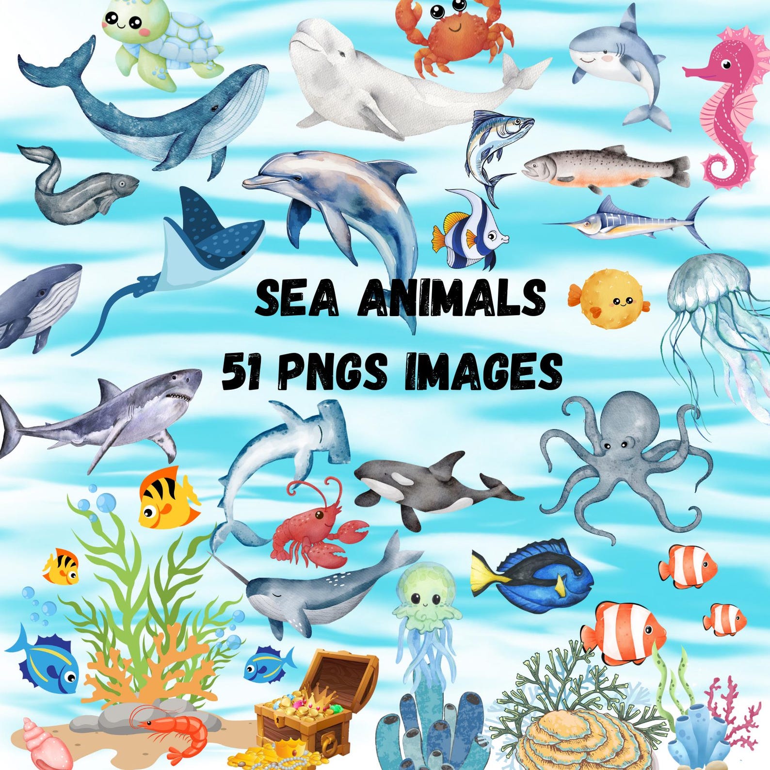 Sea Animals Clipart | 51 Ocean Pngs (digital Download) - Etsy Canada