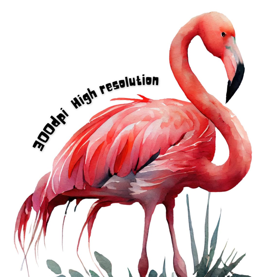 Flamingo Png Clipart, 20 Pink Tropical Flamingo Clipart, Tropical ...