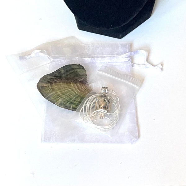 Necklace Oyster Pearl Kit - Etsy