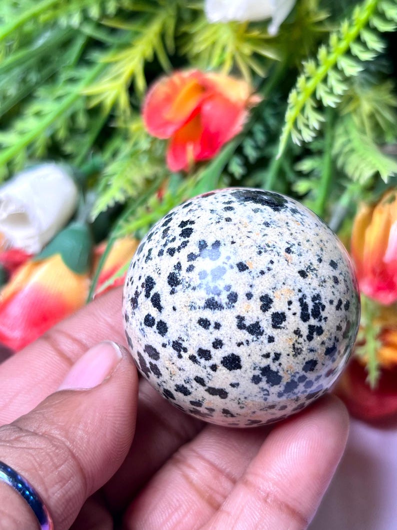 Dalmatian Jasper Sphere (40 MM) - Crystal Ball With Wooden Stand - Etsy