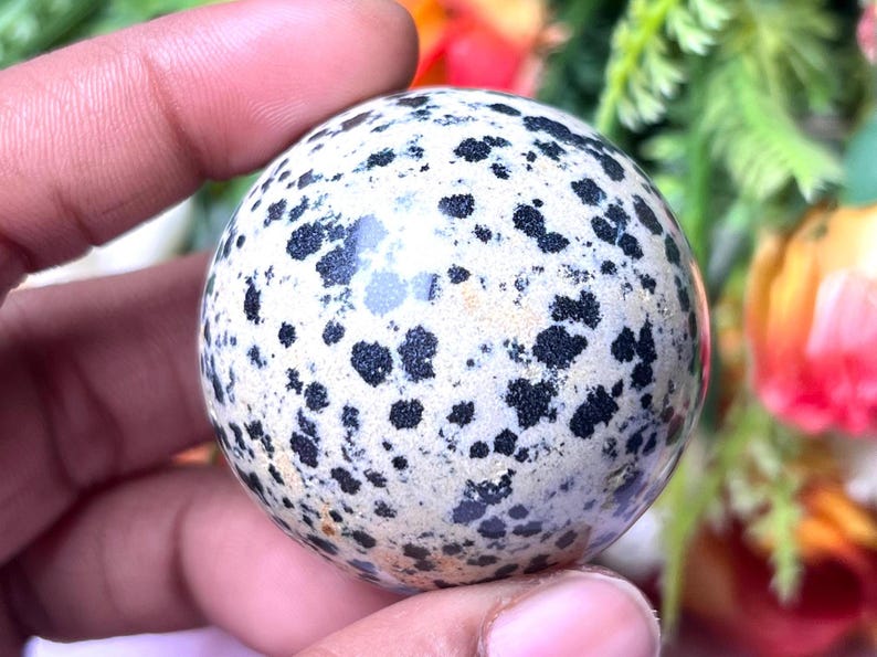 Dalmatian Jasper Sphere (40 MM) - Crystal Ball With Wooden Stand - Etsy