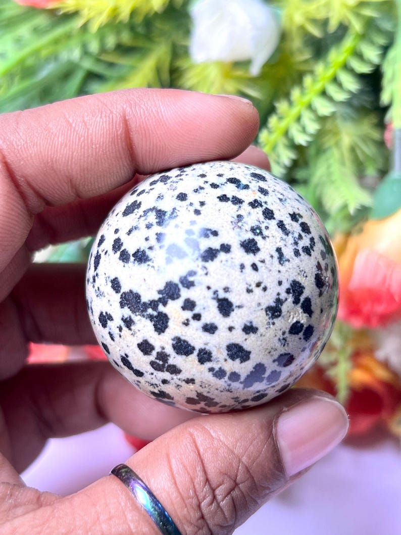 Dalmatian Jasper Sphere (40 MM) - Crystal Ball With Wooden Stand - Etsy