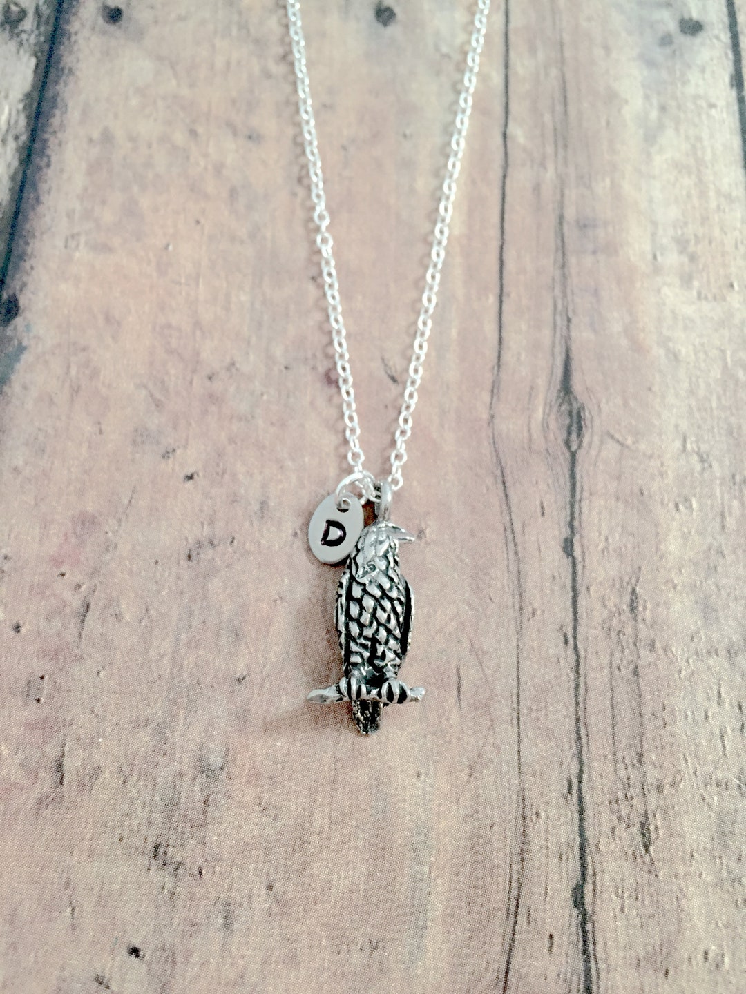 Falcon Initial Necklace - Falcon Jewelry, Kestrel Jewelry, Bird of Prey ...