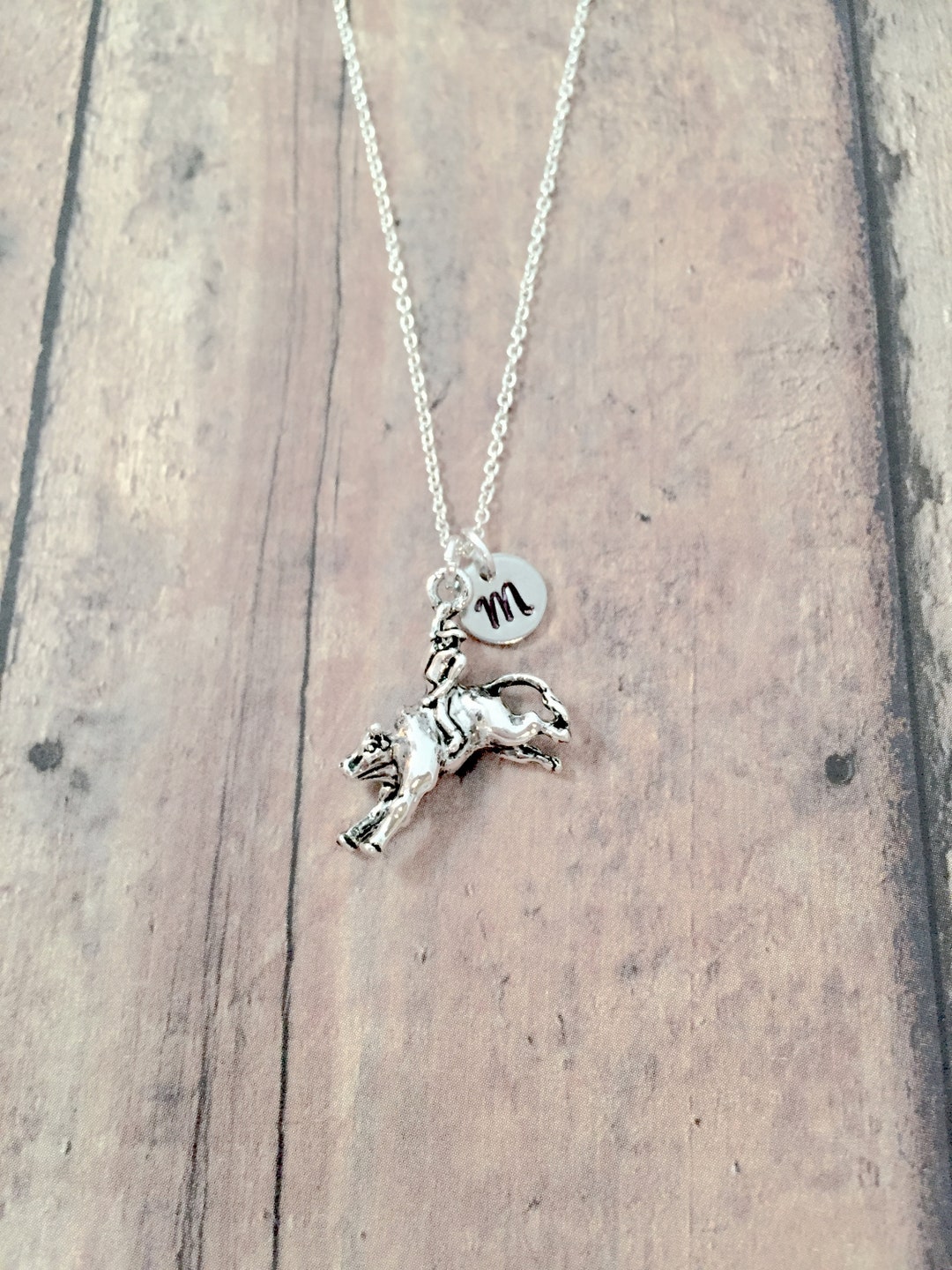 Bull Riding Initial Necklace - Bull Riding Jewelry, Rodeo Jewelry ...